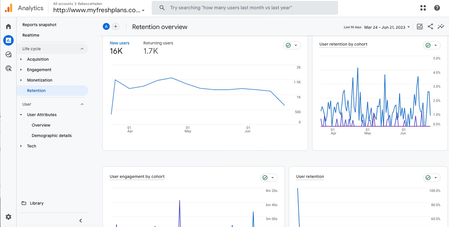 The New GA: Retention - Haden Interactive