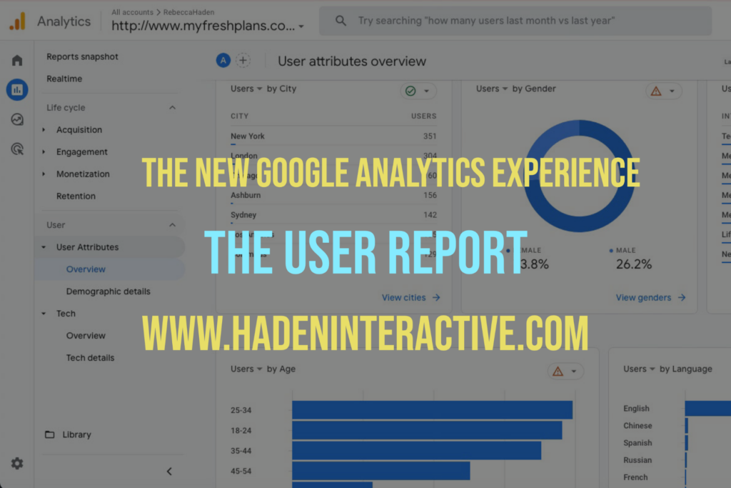 Blog - Haden Interactive